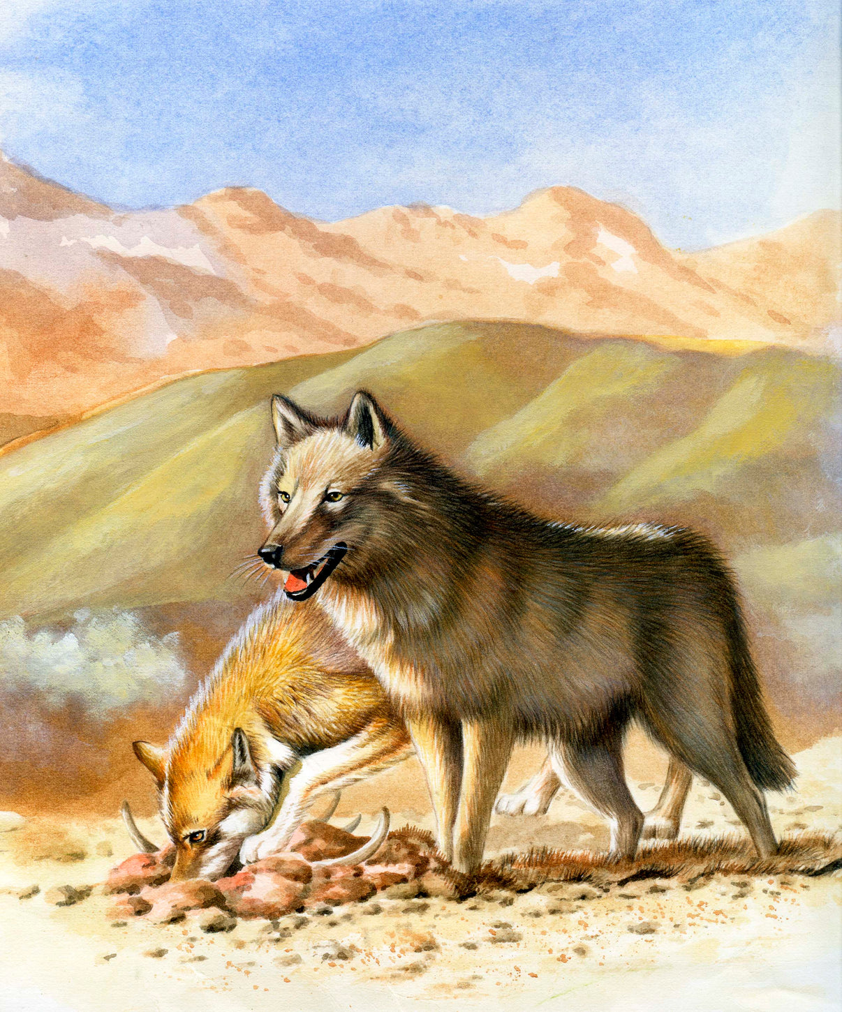 Wolves – GooseGreenGallery